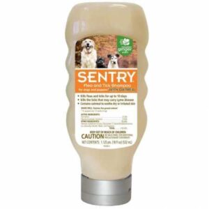 sentry oatmeal flea and tick shampoo for dogs, rid your dog of fleas, ticks, and other pests, hawaiian ginger scent, 18 oz