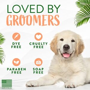 TropiClean 2-in-1 Papaya & Coconut Dog Shampoo and Conditioner | Natural Pet Shampoo Derived from Natural Ingredients | Cat Friendly | Made in the USA | 1 gallon