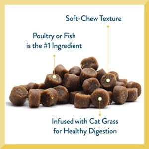 Pet Greens Treats Savory Salmon Semi-Moist Cat Treats 3 Ounce (Pack of 1)