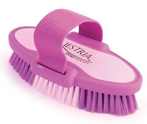 desert equestrian 2171-2 equestria oval body brush