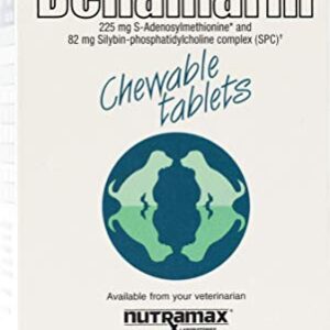 Nutramax Denamarin Liver Health Supplement for Dogs, With S-Adenosylmethionine (SAMe) and Silybin, 30 Chewable Tablets