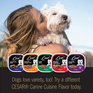 CESAR Puppy Soft Wet Dog Food Classic Loaf in sauce Chicken & Beef Recipe, 3.5 Ounce (Pack of 24) Easy Peel Trays