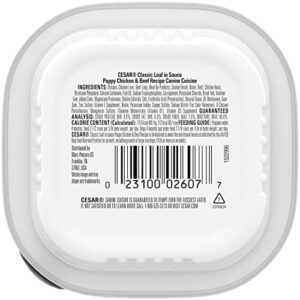 CESAR Puppy Soft Wet Dog Food Classic Loaf in sauce Chicken & Beef Recipe, 3.5 Ounce (Pack of 24) Easy Peel Trays