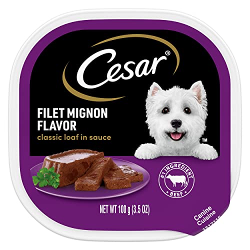 CESAR Soft Wet Dog Food Classic Loaf in Sauce Filet Mignon Flavor, (24) 3.5 oz. Easy Peel Trays