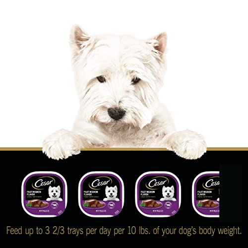 CESAR Soft Wet Dog Food Classic Loaf in Sauce Filet Mignon Flavor, (24) 3.5 oz. Easy Peel Trays