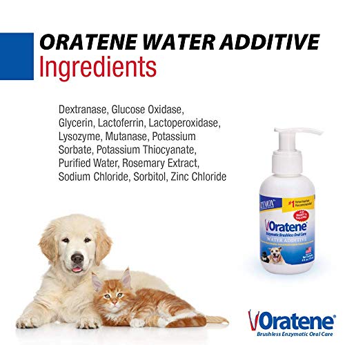 Pet King Brands Zymox Oratene Enzymatic Brushless Oral Care Water Additive, 4oz