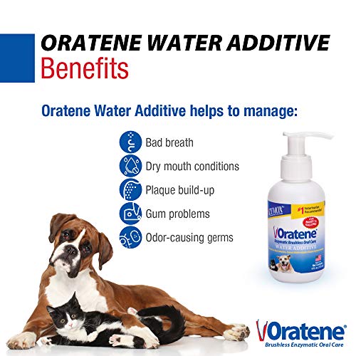 Pet King Brands Zymox Oratene Enzymatic Brushless Oral Care Water Additive, 4oz