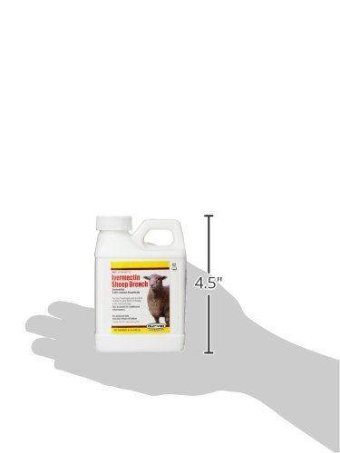 Durvet Ivermectin Sheep Drench