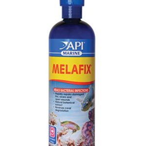 API MARINE MELAFIX Saltwater Fish and Coral Bacterial Infection Remedy 16-Ounce Bottle (311D)