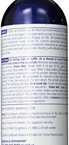 API MARINE MELAFIX Saltwater Fish and Coral Bacterial Infection Remedy 16-Ounce Bottle (311D)