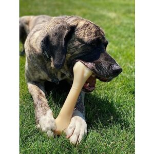 Nylabone Power Chew Monster Bone Big Dog Chew Toy Monster Chicken XX-Large/Monster (1 Count)