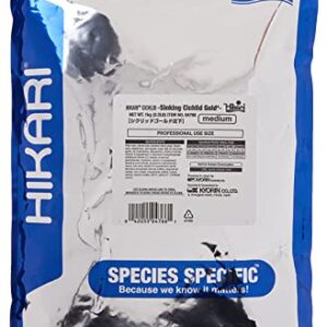 Hikari 2.2-Pound Sinking Cichlid Gold Pellets for Pets, Medium