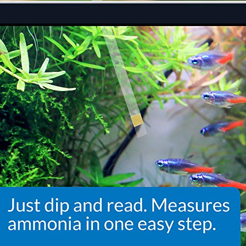 API AMMONIA TEST STRIPS Freshwater and Saltwater Aquarium Water Test Strips 25-Test Box, Model:33D