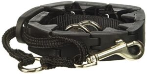 star mark pro-training dog collar, large - 21"