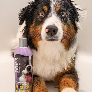 Shed-X Shed Control Shampoo for Dogs, 16 oz – Reduce Shedding – Shampoo Infuses Skin and Coat with Vitamins and Antioxidants to Clean, Release Excess Hair, and Exfoliate