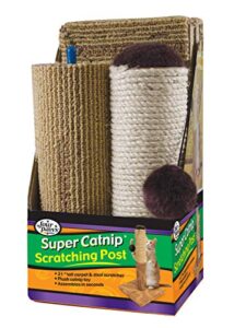 four paws super catnip cat scratching post, sisal and carpet scratching post brown 21 inches tall - brown