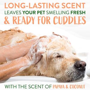 TropiClean 2-in-1 Papaya & Coconut Dog Shampoo and Conditioner | Natural Pet Shampoo Derived from Natural Ingredients | Cat Friendly | Made in the USA | 20 oz.