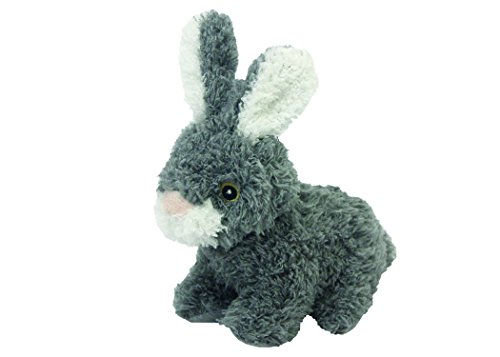 Multipet Look Who's Talking Plush Talking Rabbit Dog Toy, 6-Inch, Medium Breeds