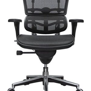 Eurotech Seating Ergohuman Mid Back Mesh Swivel Chair, Black