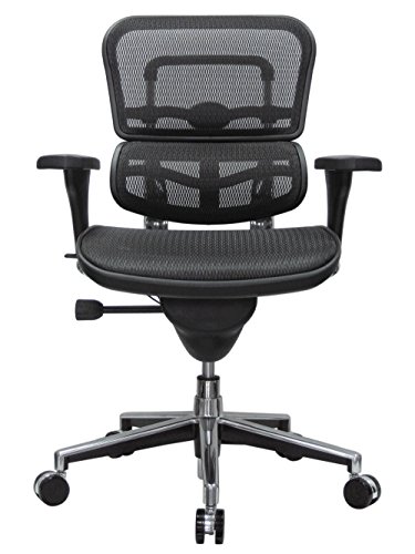 Eurotech Seating Ergohuman Mid Back Mesh Swivel Chair, Black