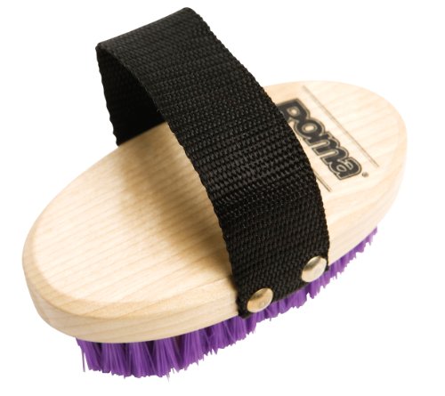 Roma Pony Wood Back Body Brush - Purple, Mini