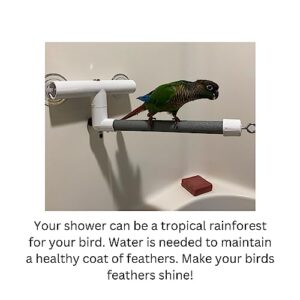 Polly's Deluxe Window and Shower Bird Perch, Small