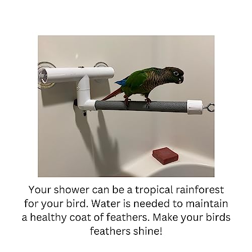 Polly's Deluxe Window and Shower Bird Perch, Small