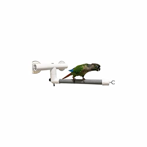 Polly's Deluxe Window and Shower Bird Perch, Small