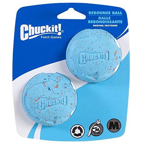 Chuckit! Medium Rebounce Ball 2.5", 2 Pack, Blues & Purples (20320)