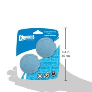 Chuckit! Medium Rebounce Ball 2.5", 2 Pack, Blues & Purples (20320)