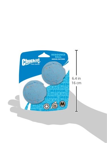 Chuckit! Medium Rebounce Ball 2.5", 2 Pack, Blues & Purples (20320)