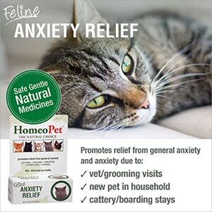 HomeoPet Feline Anxiety Relief, Stress and Anxiety Support for Cats, 15 Milliliters