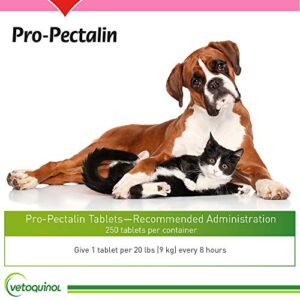 Vetoquinol Pro-Pectalin Chewable Tablets for Dogs & Cats – 250ct, Beef Liver Flavor – Helps Reduce Occasional Loose Stool & Diarrhea, Balance Gut pH, Support Normal Digestion & Intestinal Flora