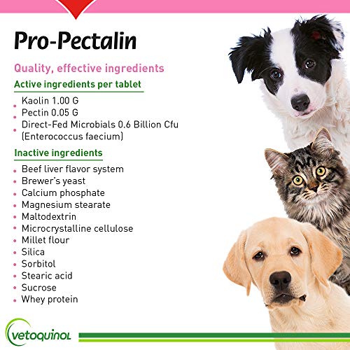 Vetoquinol Pro-Pectalin Chewable Tablets for Dogs & Cats – 250ct, Beef Liver Flavor – Helps Reduce Occasional Loose Stool & Diarrhea, Balance Gut pH, Support Normal Digestion & Intestinal Flora