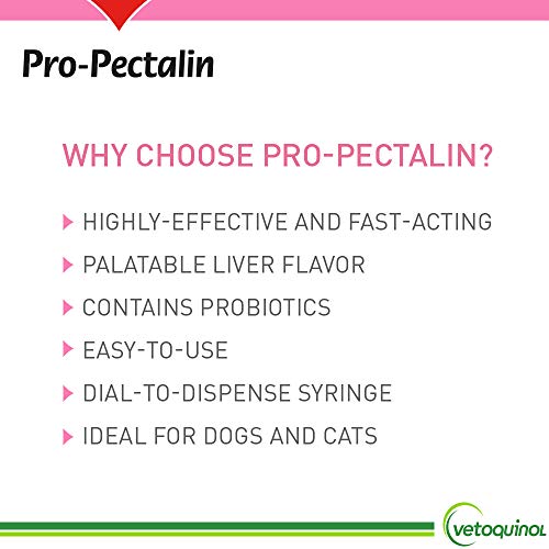 Vetoquinol Pro-Pectalin Chewable Tablets for Dogs & Cats – 250ct, Beef Liver Flavor – Helps Reduce Occasional Loose Stool & Diarrhea, Balance Gut pH, Support Normal Digestion & Intestinal Flora