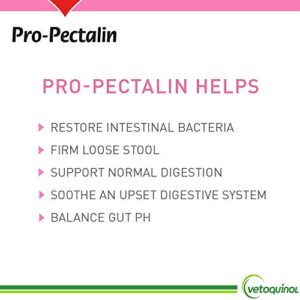 Vetoquinol Pro-Pectalin Chewable Tablets for Dogs & Cats – 250ct, Beef Liver Flavor – Helps Reduce Occasional Loose Stool & Diarrhea, Balance Gut pH, Support Normal Digestion & Intestinal Flora