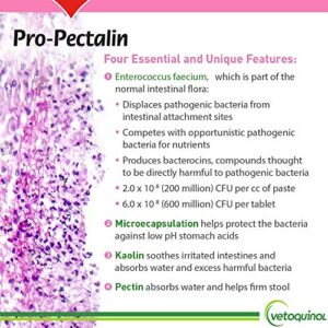 Vetoquinol Pro-Pectalin Chewable Tablets for Dogs & Cats – 250ct, Beef Liver Flavor – Helps Reduce Occasional Loose Stool & Diarrhea, Balance Gut pH, Support Normal Digestion & Intestinal Flora