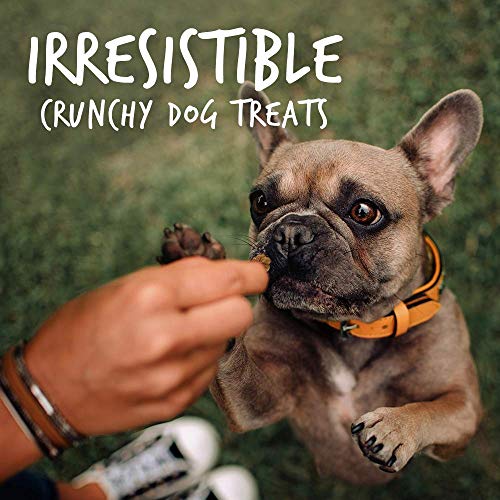 Fruitables Dog Treats Pumpkin & Banana Flavor, 7 oz