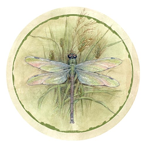 Thirstystone Stoneware Coaster Set, Dragonfly