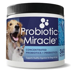 nusentia probiotics for dogs -(360 scoops)-probiotic miracle -advanced, species specific probiotics and prebiotics to stop diarrhea, loose stool, and yeast-plus immune support