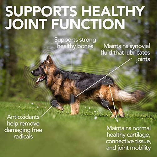 Vet's Best Advanced Hip & Joint Dog Supplements, 90 Chewable Tablets