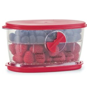 Prepworks by Progressive Berry Keeper,Red