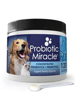 probiotics for cats & dogs - (120 scoops) probiotic miracle - advanced formula to stop diarrhea, loose stool, and yeast.