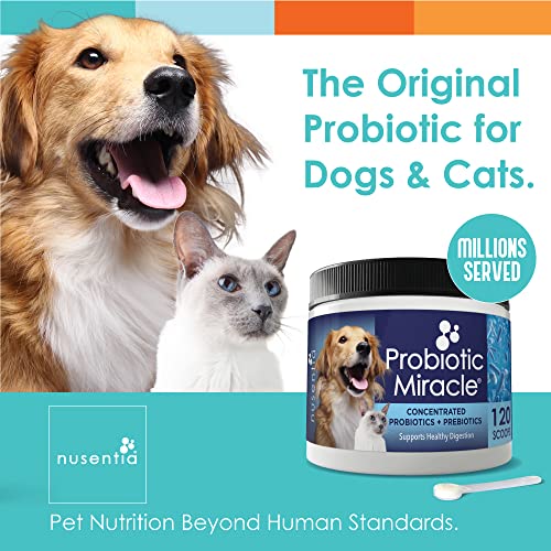 Probiotics for Cats & Dogs - (120 Scoops) Probiotic Miracle - Advanced Formula to Stop Diarrhea, Loose Stool, and Yeast.