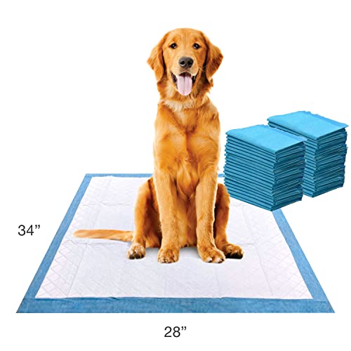 Four Paws Wee-Wee Superior Performance X-Large Dog Pee Pads - Dog & Puppy Pads for Potty Training - Dog Housebreaking & Puppy Supplies - 28" x 34" (40 Count),White