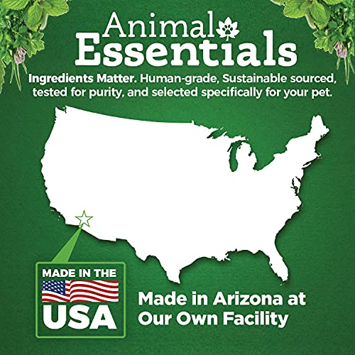 Animal Essentials Seasonal Allergy Herbal Supplement for Dogs & Cats, 1 fl oz - Made in the USA, Sweet Tasting Allergy Relief