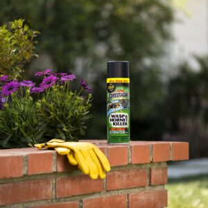 Spectracide Wasp & Hornet Killer Spray, Kills Wasps, Hornets and Yellow Jackets, Sprays Up To 27 Feet, 20 Ounce