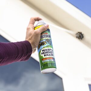 Spectracide Wasp & Hornet Killer Spray, Kills Wasps, Hornets and Yellow Jackets, Sprays Up To 27 Feet, 20 Ounce