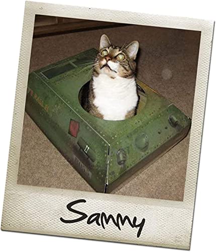 Suck UK | Cat Tank Play House | Send Your Feline to the Frontline with a Cardboard Cat House | Interactive Cat Toys & Kitten Toys | | Tank You for Your Service | Cardboard Cat Houses & Condos |