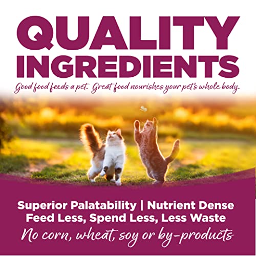 NutriSource Cat & Kitten Food, Made with Chicken and Rice, with Wholesome Grains, 6.6LB, Dry Cat Food